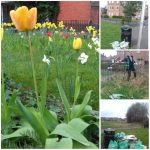Crewe Clean Team – Roger Morris, Crewe Central Ward